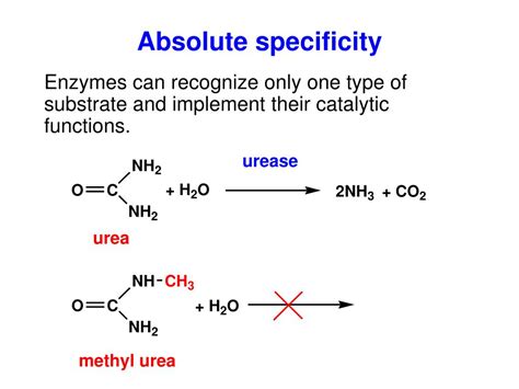 Ppt Chapter 2 Enzyme Powerpoint Presentation Free Download Id 3561286