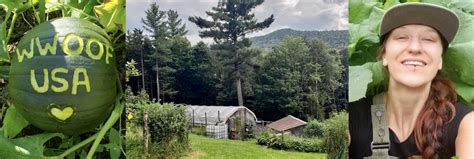 Future Farmer Katelyns Story Wwoof Usa