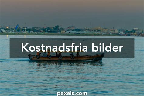 Bästa Foton På بنتمعبنتسكسعلىتويتر · 100 Gratis Nedladdning · Pexels Stockfoton