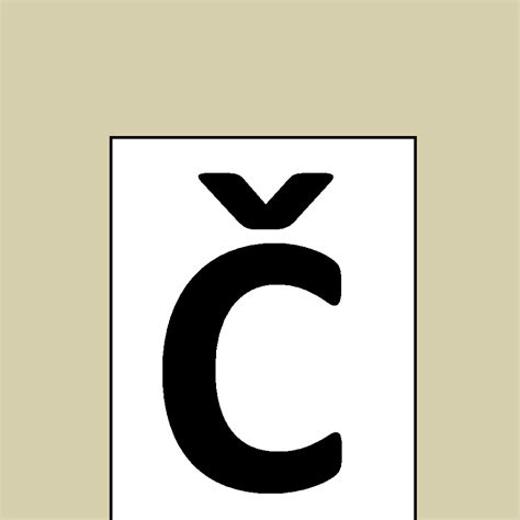 Čistič Koberců Polička