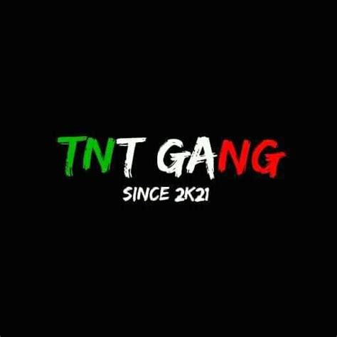 Tnt Gang Ao