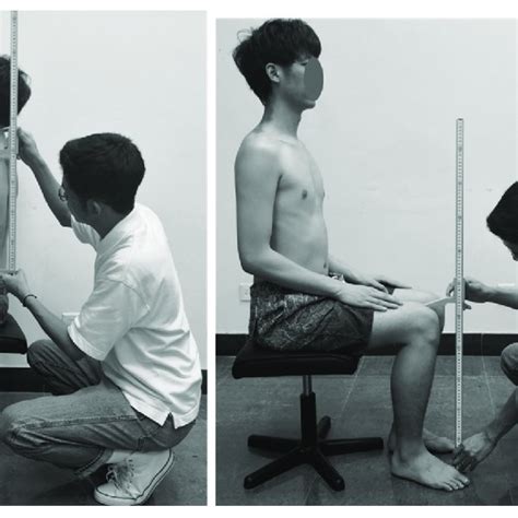 Anthropometric Measurements Download Scientific Diagram