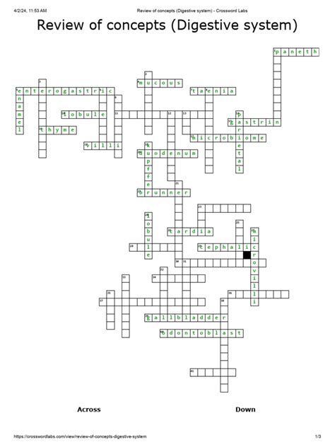 Review Of Concepts Digestive System Crossword Labs Pdf Stomach Human Digestive System