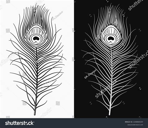 Peacock Feather Outline Photos Images And Pictures Shutterstock