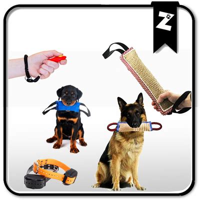 Zanimo Accessoires Chiens