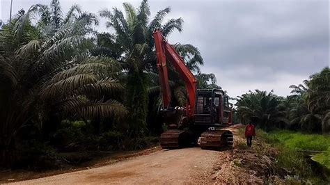 Roling Excavator Hitachi Di Dalam Kebun Kelapa Sawit Ptr Rupat Youtube