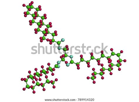 Lipids Structure 3d Designer Phospholipids Structural Retrieval