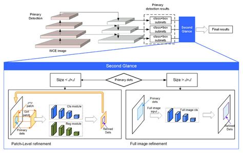 Overall Procedure Of Secg Detection Framework Secg Detection Framework Download Scientific
