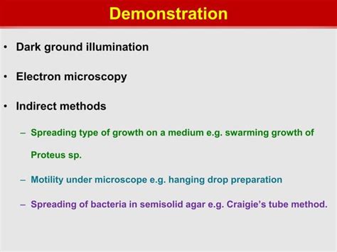Bacterial Morphologyppt