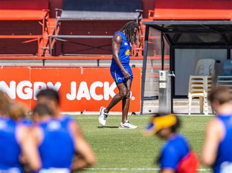 Eagles Refuse To Rule Nic Nat Out