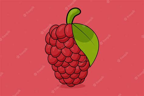Premium Vector Illustration Of A Raspberry Vector Design