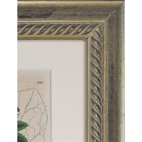 19th Century Antique English Hand Colored Thistle Botanical Print By