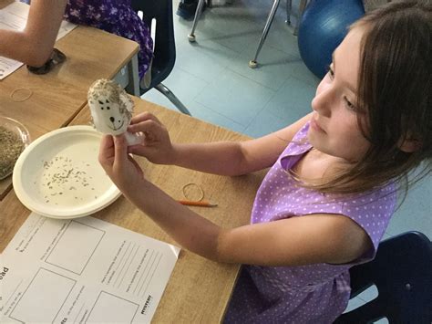 Making Grass Heads Mrs Reading