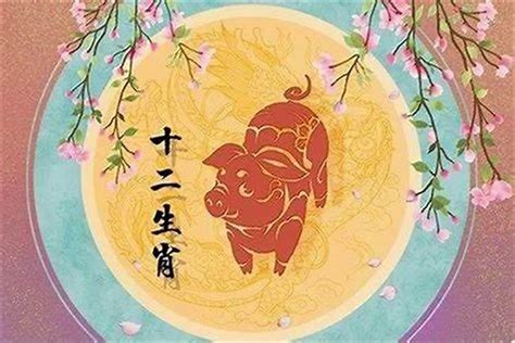 95男属猪2026年运势 易用国学