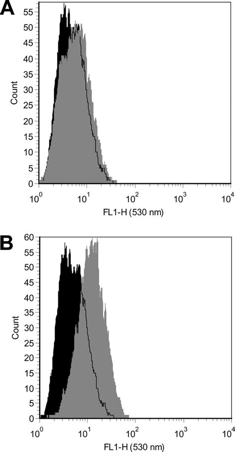 Representative Flow Cytometry Histograms Of Mitosox Red Fluorescence