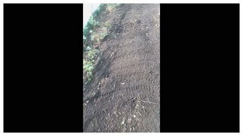 Greenhouse Clean Up Eporner