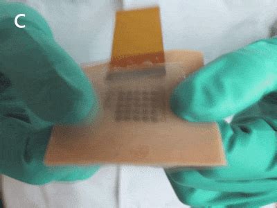 张一慧组今日science：基于三维架构的仿生电子皮肤 信号 曲率 传感器 剪切力 网易订阅