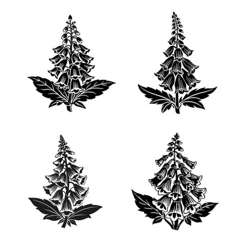 Masson Pine Images Free Download On Freepik