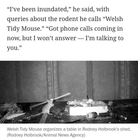 Luv Me Mouse Luv Me Shed He Ates Me Mess Nd I Ate Me Phone R