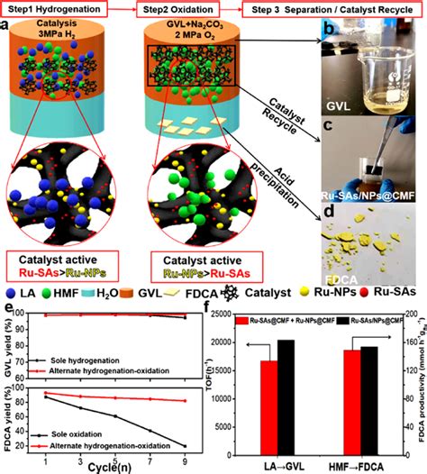 Catalytic Reaction Process In A Biphasic Solvent And Performance Download Scientific Diagram