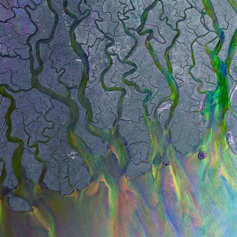 Alt J An Awesome Wave Lyrics And Tracklist Genius