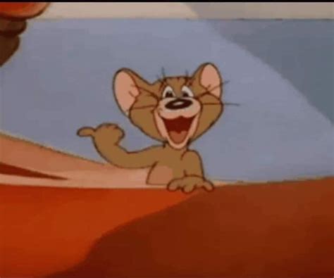 Ghim Của Sisi Trên Rot Tom Và Jerry Hình Vui Gấu Con