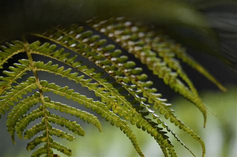 Am I An Innovative Educator Its Not Just About Ideas