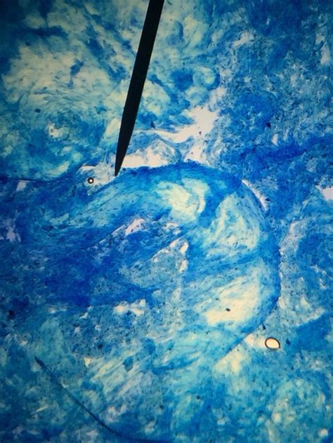 Pin Van Demi Rivero Op Cool Microscope Shots