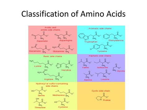 Ppt Amino Acid Analyzer Powerpoint Presentation Free Download Id
