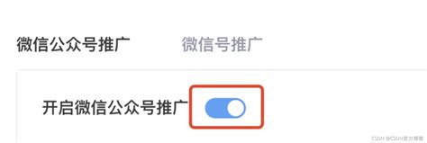 csdn官方指定推广功能上线【第12期 2021 9 8】 csdn推广管理怎么投发 csdn博客