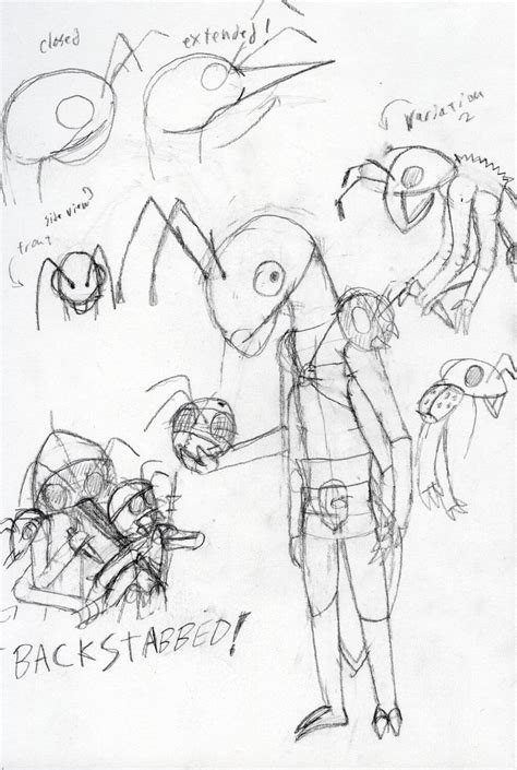 Assassin Bug Study By The Albino Axolotl On Deviantart