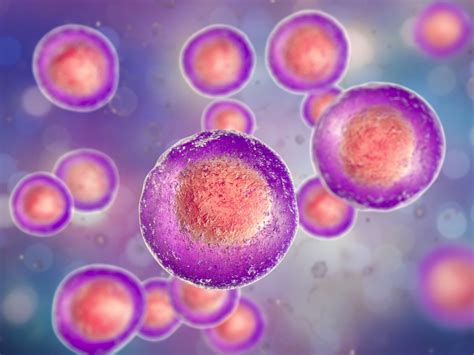 Infographic Single Cell Sequencing Technologies And Applications