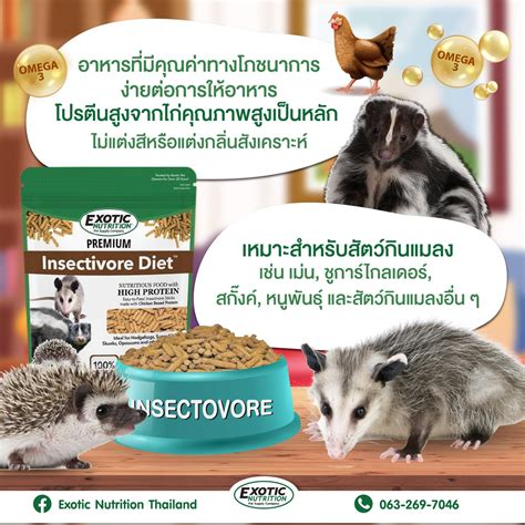 แรนดอล์ฟ Exotic Nutrition Premium Insectivore Diet อาหารเม็ดสัตว์กินแมลง