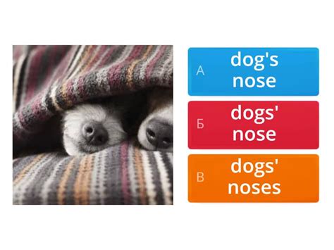 3 кл Possessive Case Викторина