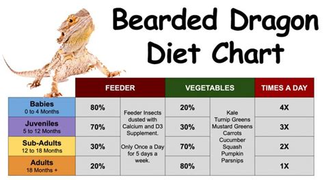Bearded Dragon Diet List Printable