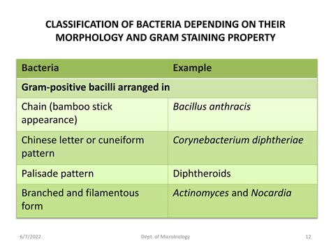 Morphology Of Bacteria And Anatomy Of Bacterial Cellpptx