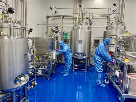 Pilot Scale Fermenter At ₹ 1650000 Pilot Scale Fermentor In Sas Nagar