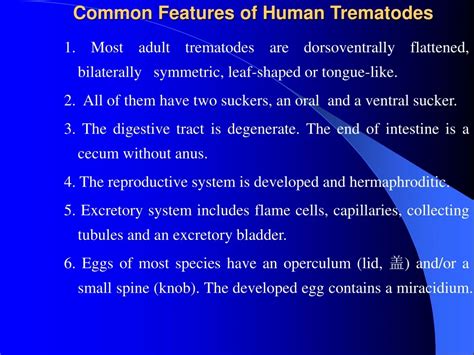 Ppt Common Features Of Human Trematodes Powerpoint Presentation Free