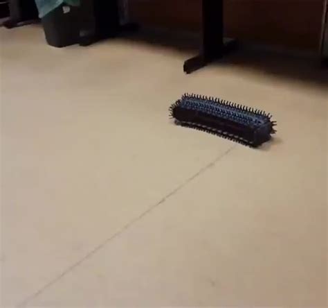 Virgilio Brian Delgado De Lucio Posted On Linkedin