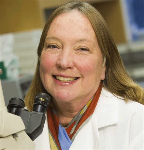 Deborah J Anderson Phd Virology Immunology And Microbiology