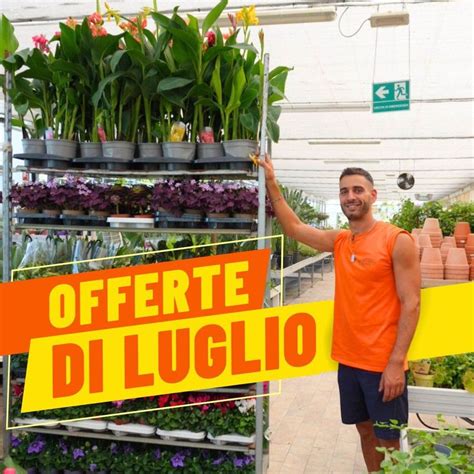 Sassi Garden Vendita Piante Online