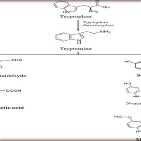 Pdf Phytomelatonin Plant Hormone For Management Of Abiotic And Biotic Stresses