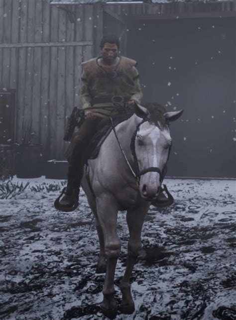My Shrek Outfit With Donkey After Taking The Happily Ever After Potion