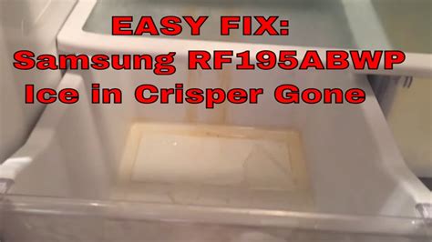 Fridge Leaking Water Inside And Not Cooling Gas Furnace
