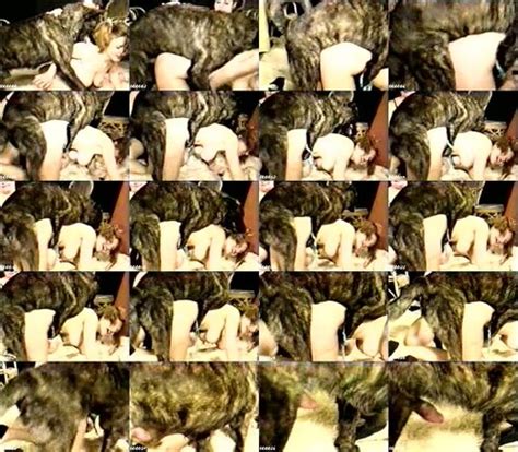Animal Porn Movie Beastiality Pretty Teen Girl Gets Anal Sex From A