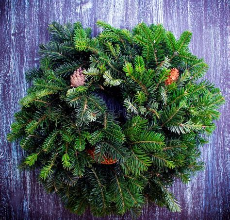 Christmas Green Wreath Stock Image Image Of Tree Arrangement 44482797