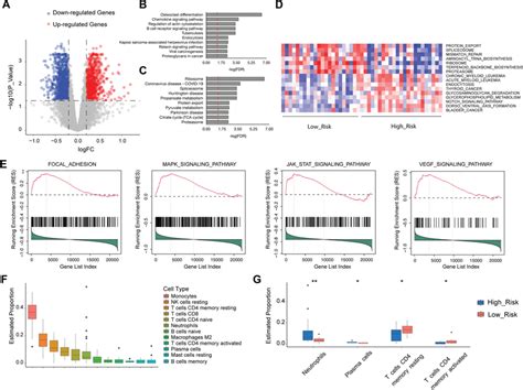 Alternation Of Gene Expression Pattern Between Ipf High Risk And