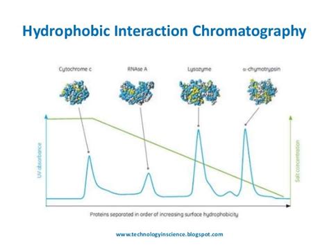 Hydrophobic Interaction Chromatography Hic Theory And Principle