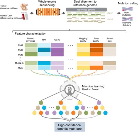 A Machine Learning Approach For Somatic Mutation Discovery Science