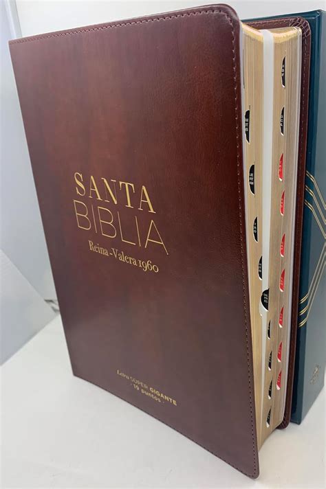 Biblia Letra Gigante 19 Puntos Reina Valera 1960 Imitacion